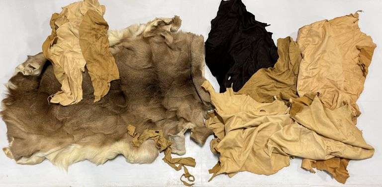 Tanner deer hides, various sizes, up to 46"L, good - Albrecht Auction ...