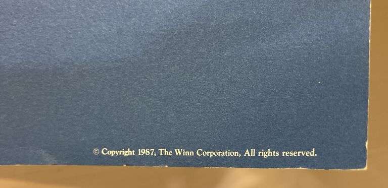 (4) Museum posters, include: Dan Goad parrots, Catherine Ruane abstract ...