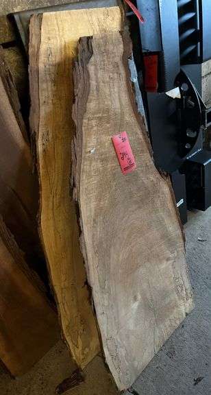 (2) Spalted silver, maple, live edge, rough sawn, one- 15" to 21"W x 1 ...