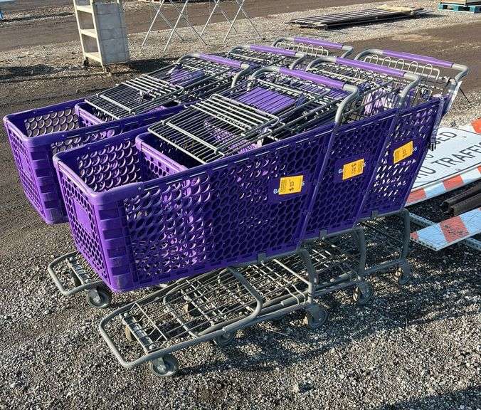 (6) Matching shopping carts, used, good - Albrecht Auction Service