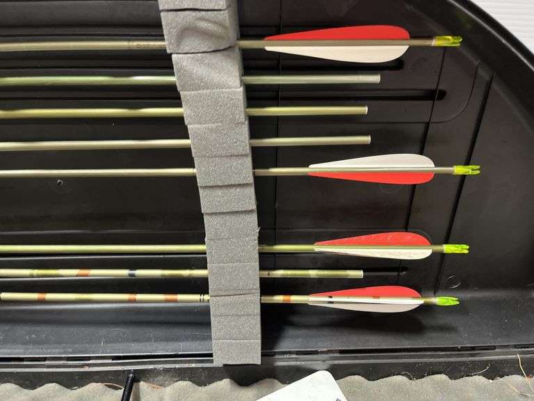 Cougar Martin Speed Flite-M42 compound bow with case, 29"L draw, has ...