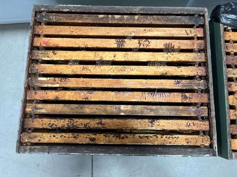 (2) Deep beehives, 10-frame, mostly drawn comb with some honey, 20"L x ...