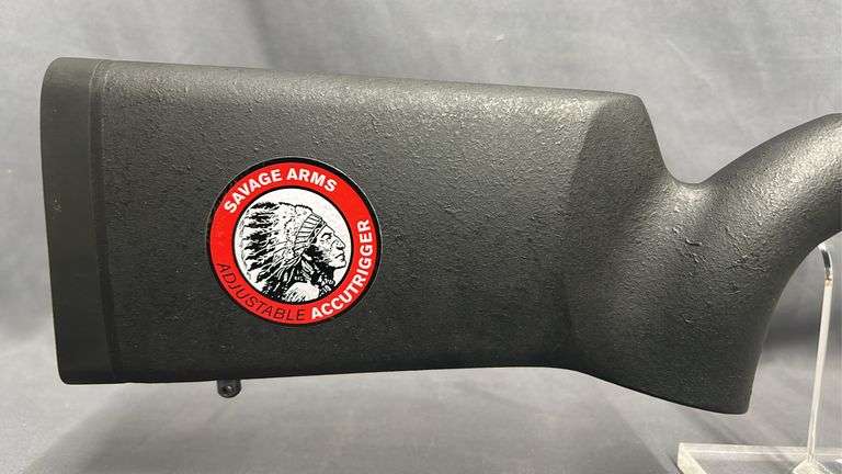 Savage Model 110 FCP, .300 WM, H.S. Precision Stock, Accu Trigger ...