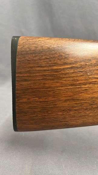 Remington 510 Targetmaster S-L-LR single shot, auto safety, made in ...