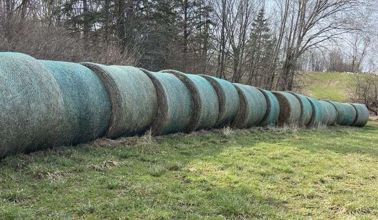 (20)-1st Cutting Bales of Hay, Mostly Brome Grass Timothy and Orchard Grass, 10% Clover and 5% ...