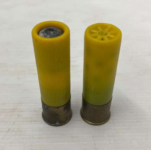 (42) Fiocchi 20-Gauge Shells, and (6) Remington Peters 20-Gauge Shells ...