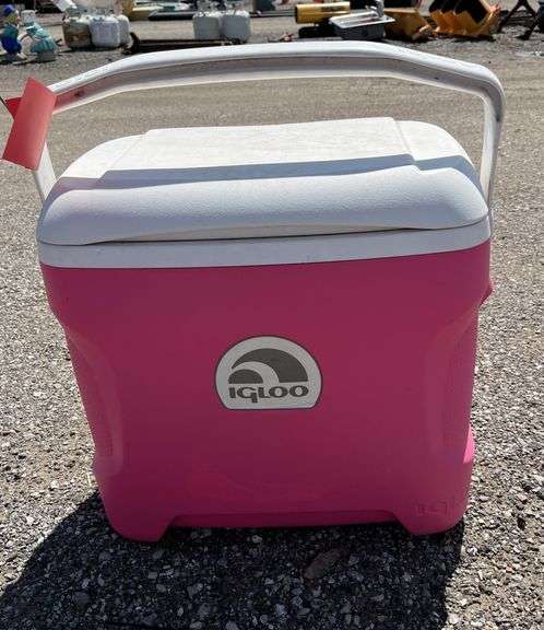 Pink Igloo cooler, 16" x 10", like new - Albrecht Auction Service