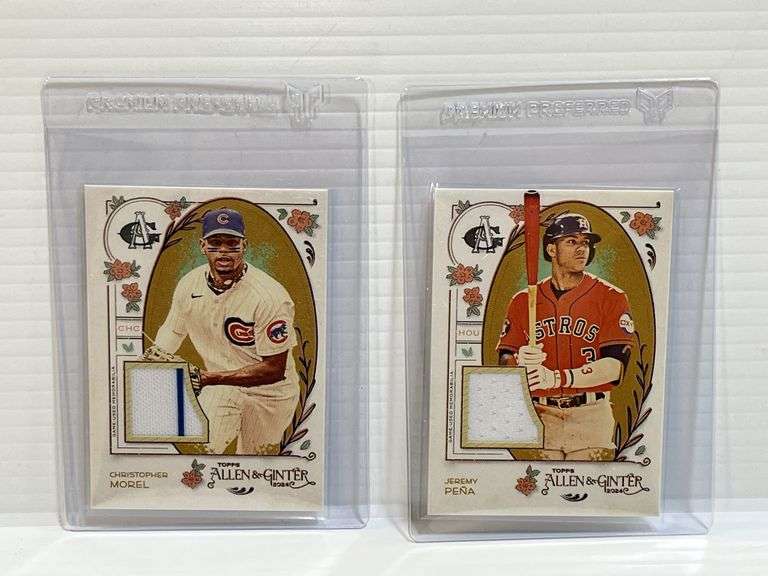 (10) Genuine Topps Allen & Ginter relic game used memorabilia cards ...