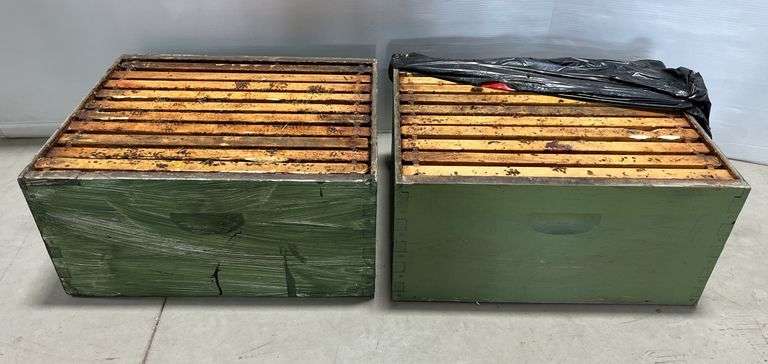 (2) Deep beehives, 10-frame, mostly drawn comb with some honey, 20"L x ...