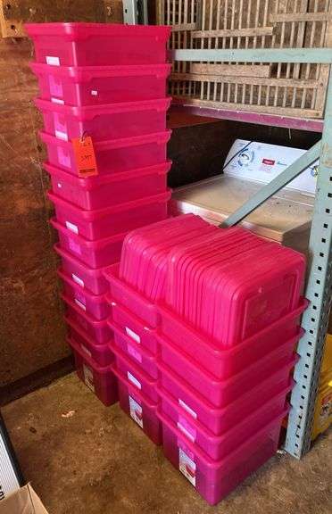 (22) Small pink storage bins with lids - Albrecht Auction Service