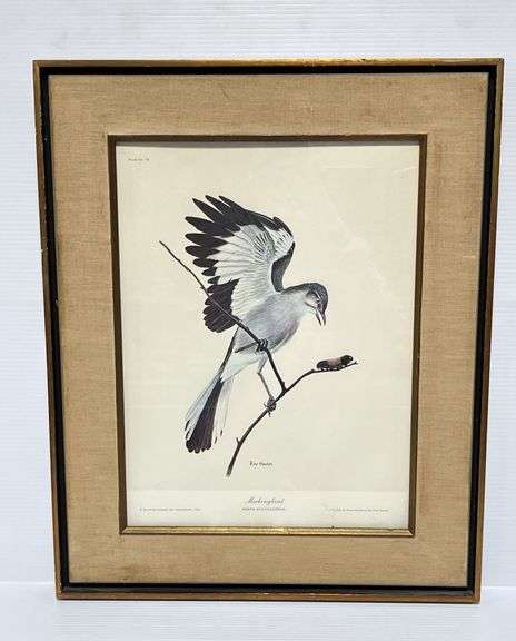 Mockingbird picture, signed in ink by Ray Harm, 17" x 11", quality ...