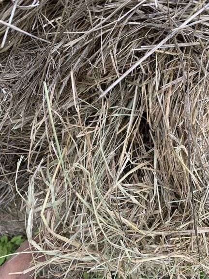 This item Selling ABSOLUTE! ~~~ (1)-Bale of First Cutting 4x5 Round ...