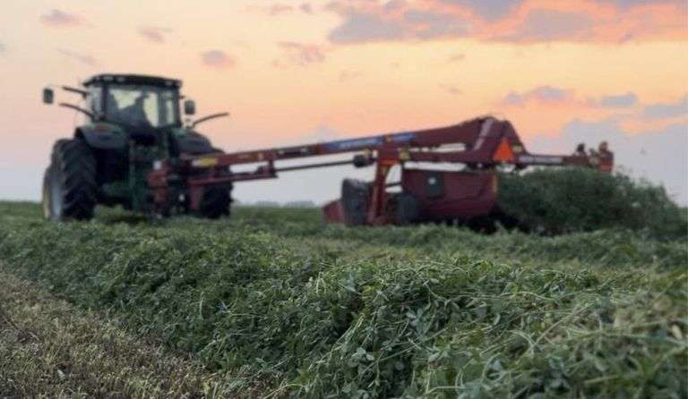 2022 New Holland 313 Discbine, 13' Cutting Width, Quick Change Knife ...