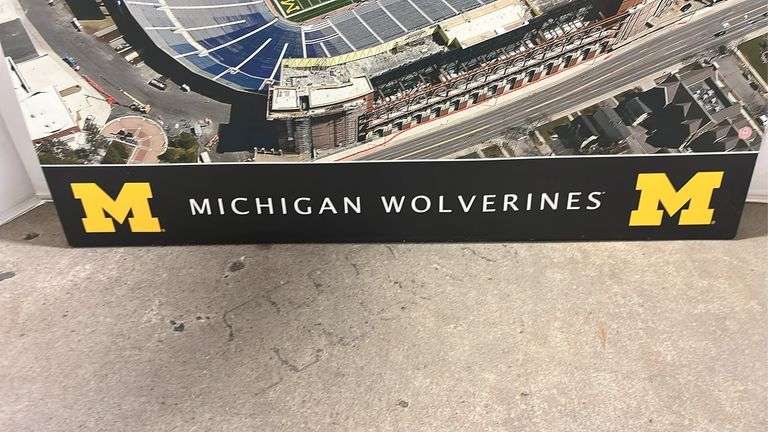 MSU print on canvas, 39"W x 29"H, great - Albrecht Auction Service