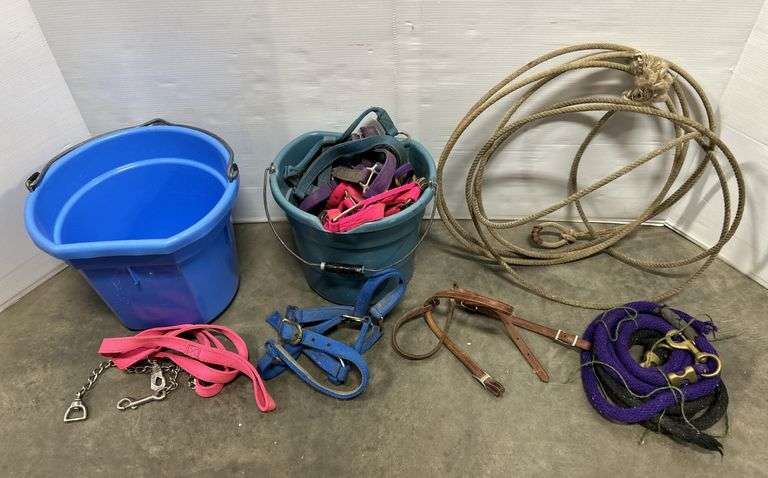 (2) Pails, halter, and lead rope horse tack, fair - Albrecht Auction ...