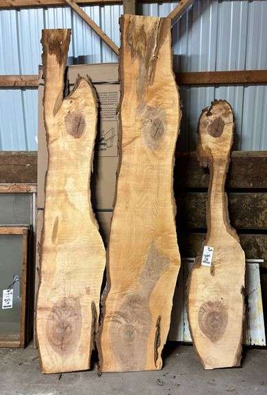 (3) Hard Sugar Maple boards, live edge, rough sawn, One- 14" to 20"W x ...