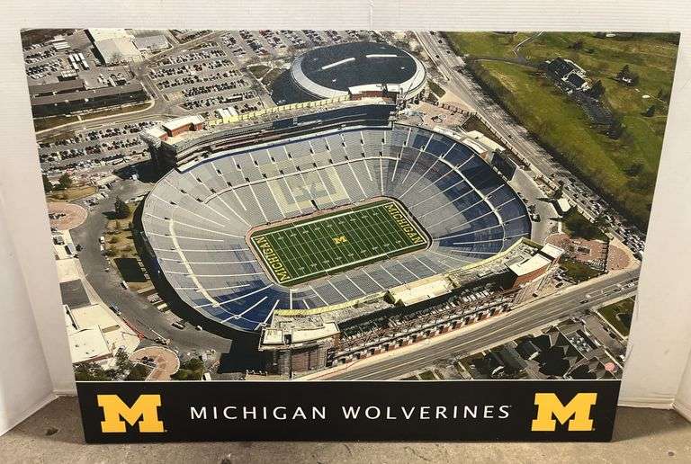 MSU print on canvas, 39"W x 29"H, great - Albrecht Auction Service