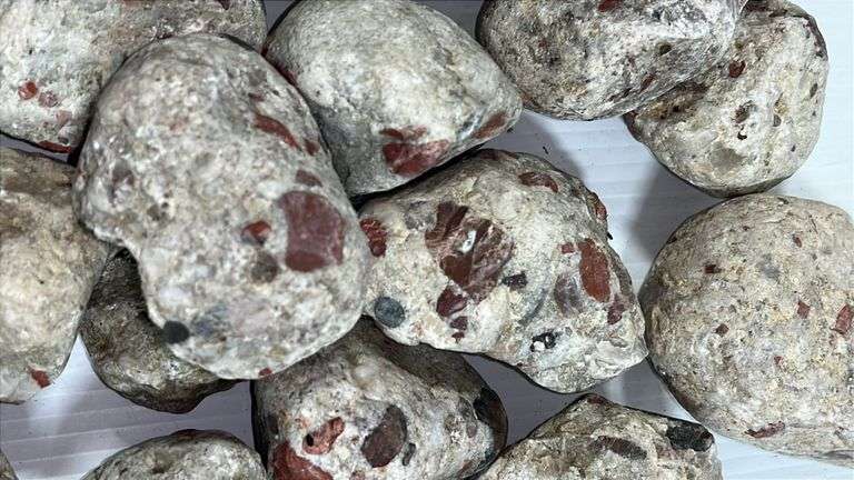 (20) Pudding stones, 2" to 3", approx. 10 lbs. - Albrecht Auction Service