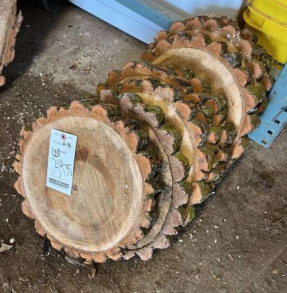 (8) Unfinished natural tree wood circular slices with tree bark, approx ...