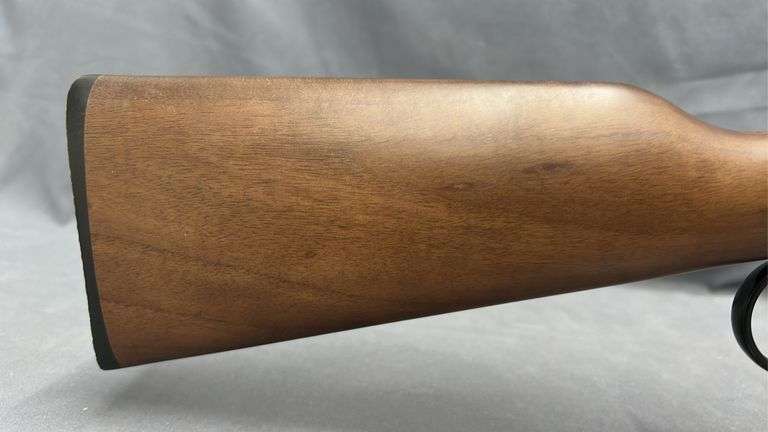 Henry .22 LR Small Game Carbine, with Skinners Peep Sight - Albrecht ...