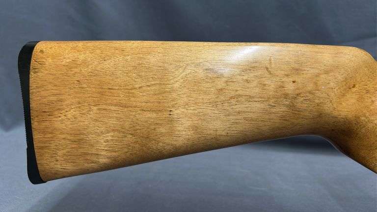 Stevens Model 121, .22 S/L/LR, Single-Shot Bolt Action, with Tasco 4x15 ...