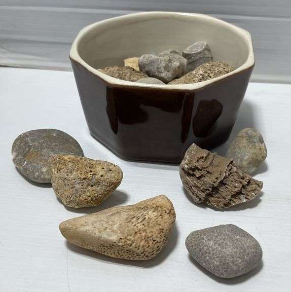 Small bowl of fossil rocks, includes: (2) Petoskey, several interesting ...