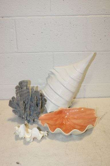Shell & Coral Décor - Auction Ohio