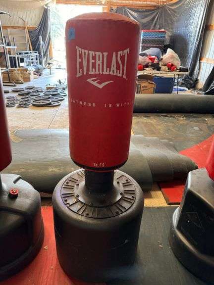 Everlast Freestanding Punching Bag - Auction Ohio
