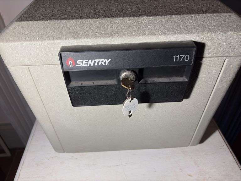 Sentry Safe - Auction Ohio
