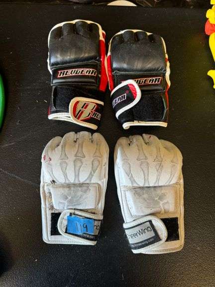 MMA/Boxing gloves - Auction Ohio