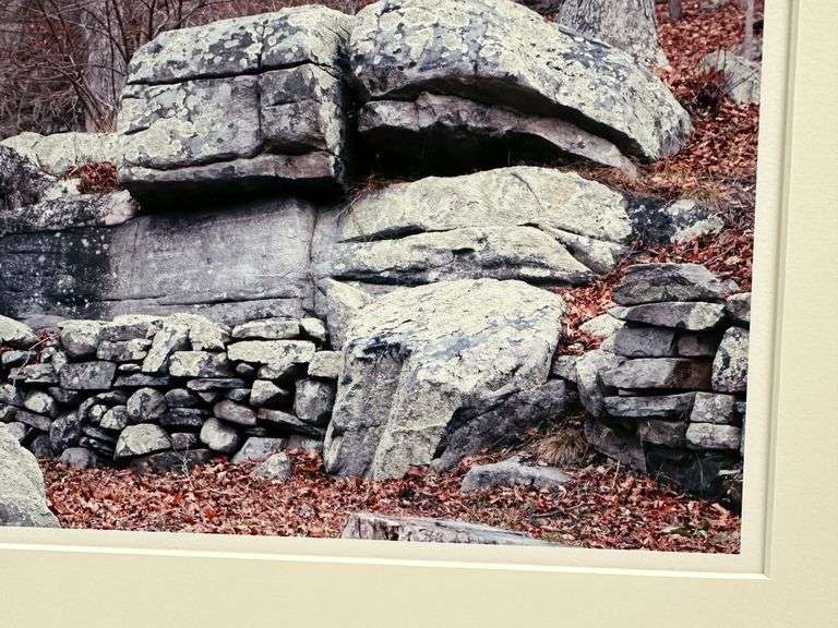 Photograph by Judy Friday - Auction Ohio