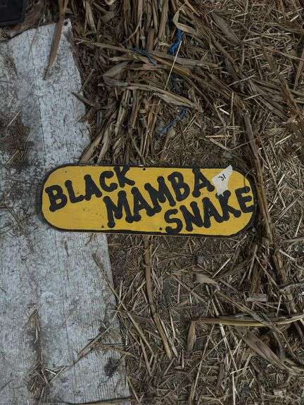 Black Mamba Snake Sign - Auction Ohio