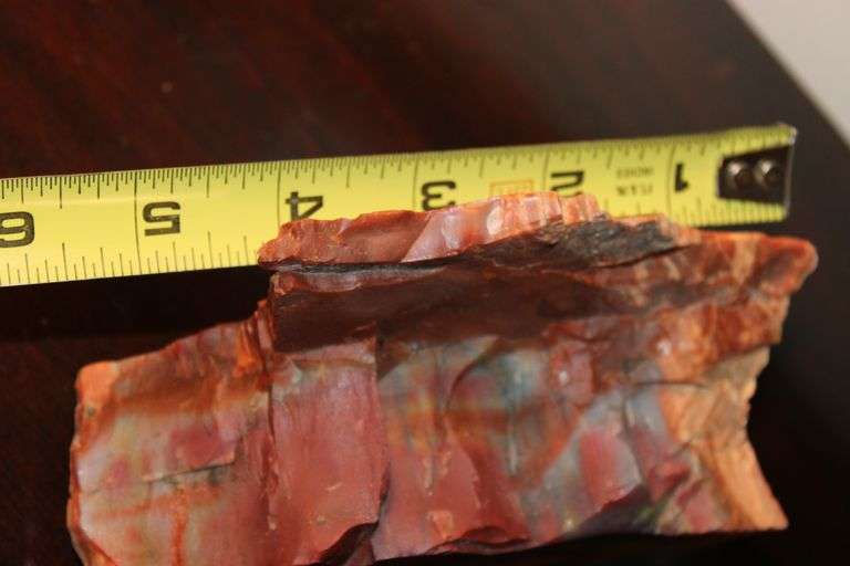 Petrified Rock Specimen - Auction Ohio