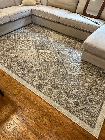 Large gray/tan area rug - Auction Ohio