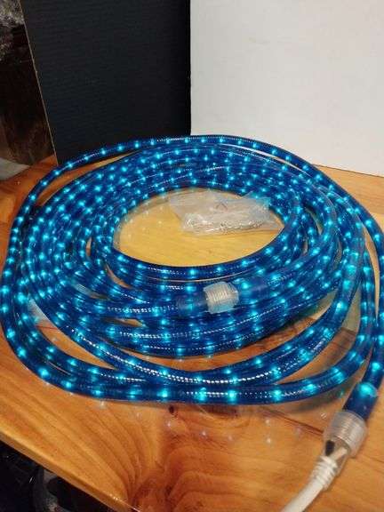 2 Blue Rope Lights Electric - Auction Ohio