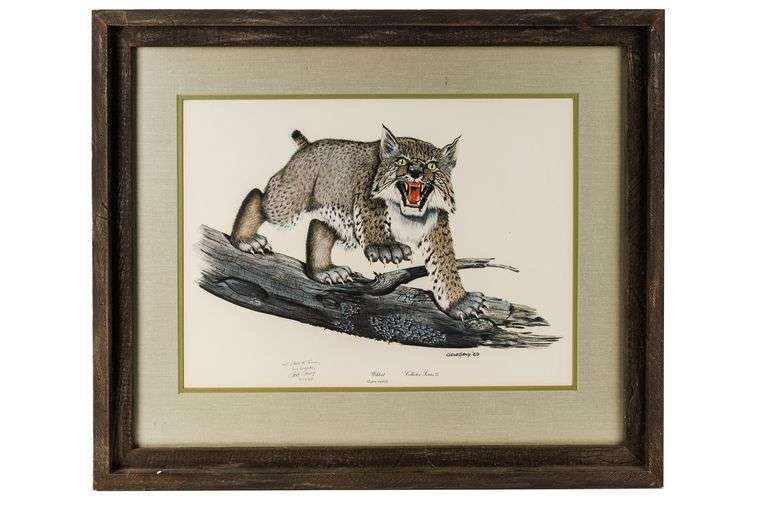 1969 Gene Gray (b.1937-d.2018) Wildcat Signed Limited Artwork- $520 ...