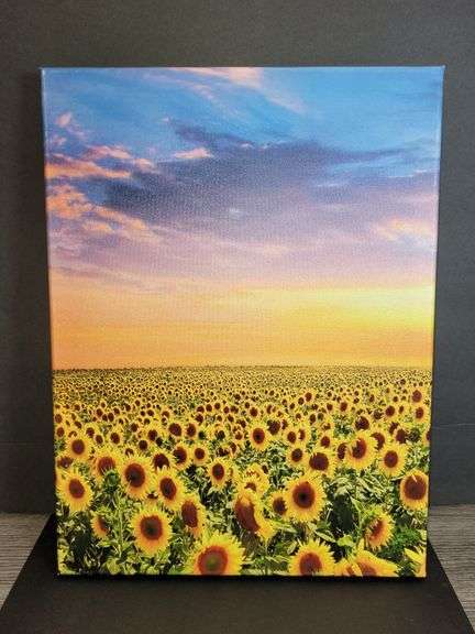 Canvas Art Print - Coloriful - very nice. - Auction Ohio