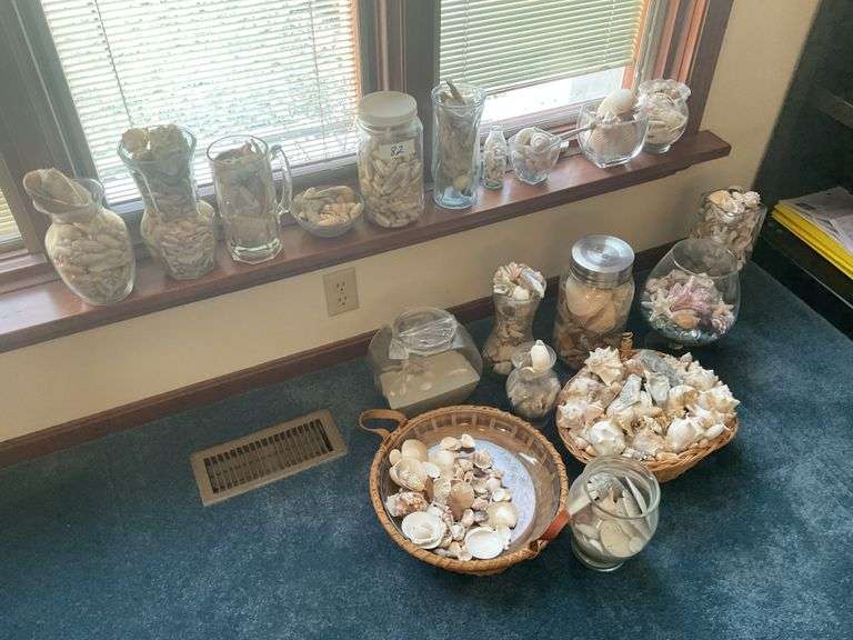 Shelf w/ Books & Shell Collection - Auction Ohio