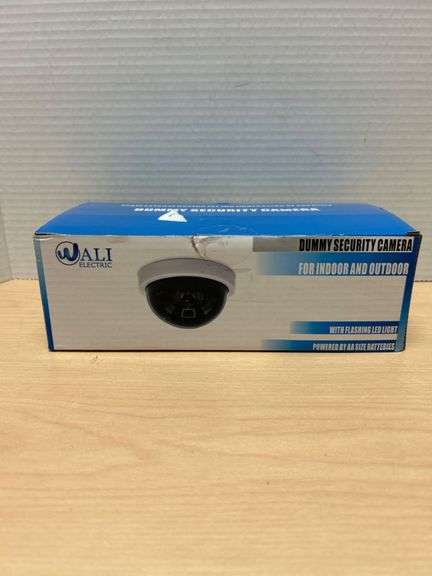 Wali Electric Dummy Security Camera for Indoor and Outdoor Use ...