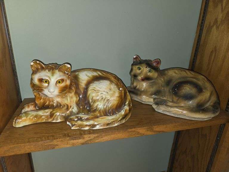 Cat - Auction Ohio