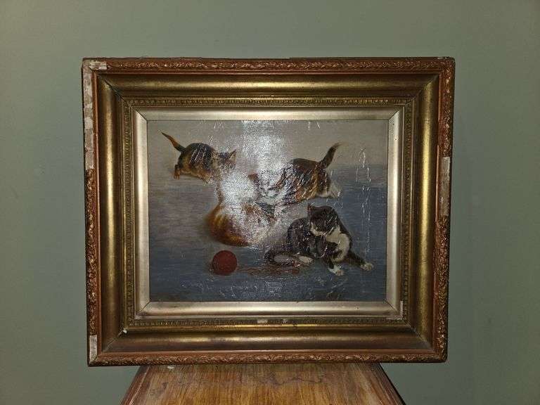 Cat pic - Auction Ohio