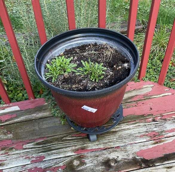 Planters - Auction Ohio