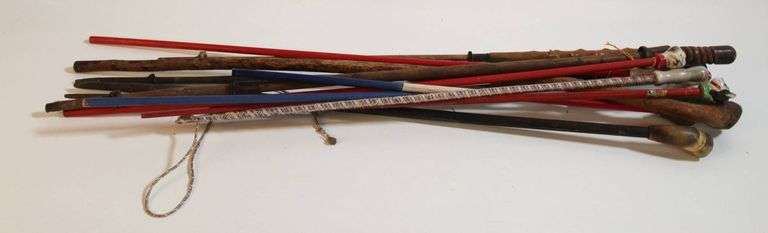CARNIVAL CANES WITH DECORATIVE HANDLES. - Auction Ohio