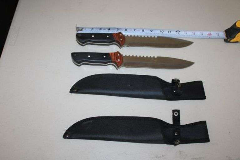 Two Fixed-Blade Knives with Nylon Sheaths - Auction Ohio