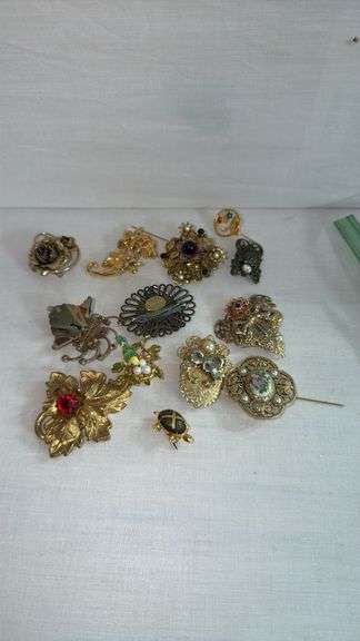 13 Vintage Brooches - Auction Ohio