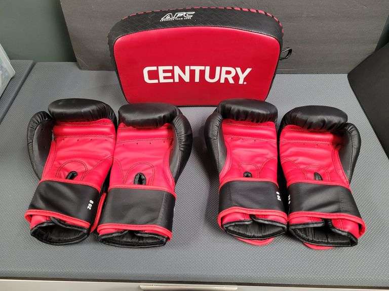 Two Sets of Boxing Gloves - Auction Ohio