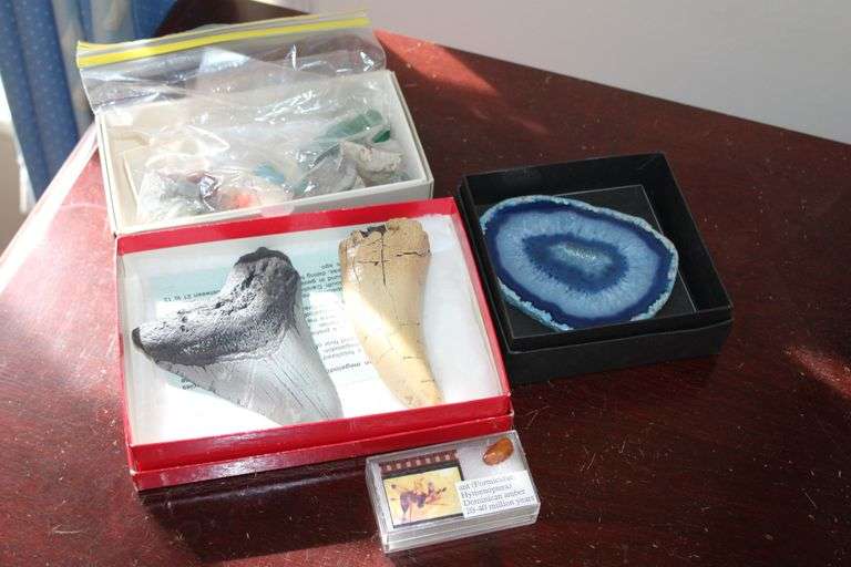 Polished Stone Specimens & Cast Fossil Replicas - Auction Ohio