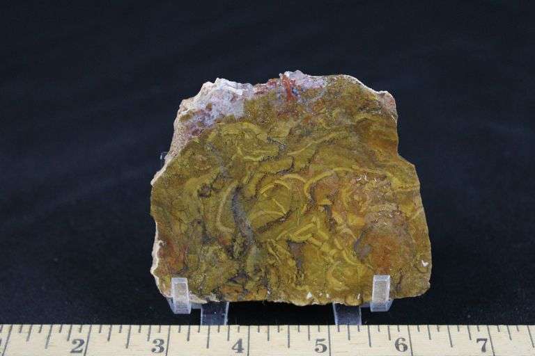 Yellow Jasper Slab - Auction Ohio