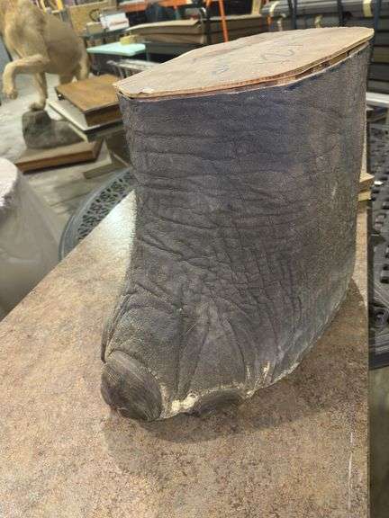 Genuine elephant foot - Auction Ohio