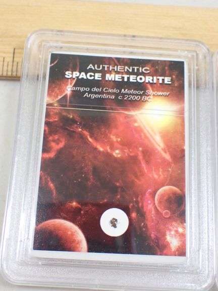 Two Authentic Space Meteorites from the Campo del Cielo Meteor Shower ...